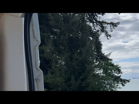 Kellie Naked and Afraid Nightlinger Survival is going live! - YouTube