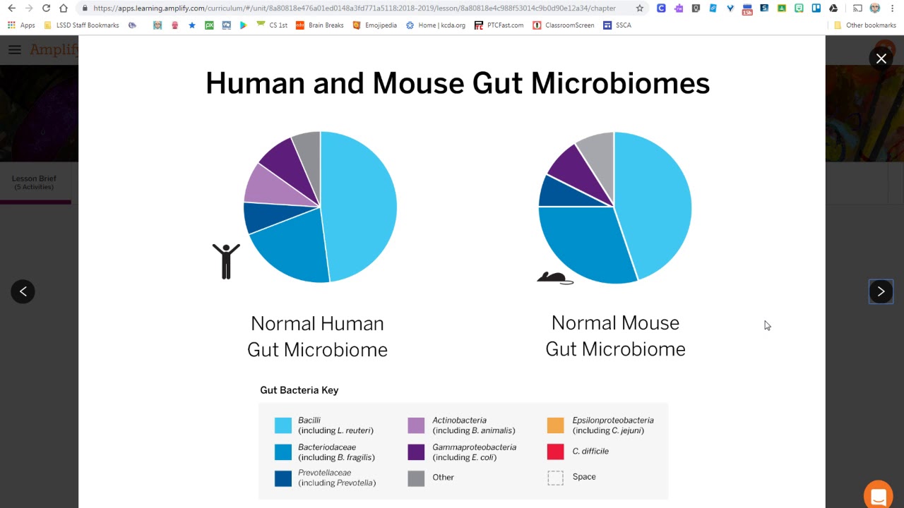 Microbiome Unit Lesson 2.4 Part 2 - YouTube