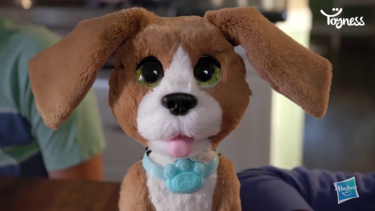 FurReal Friends 'Chatty Charlie, the Barkin’ Beagle' Official TV ...