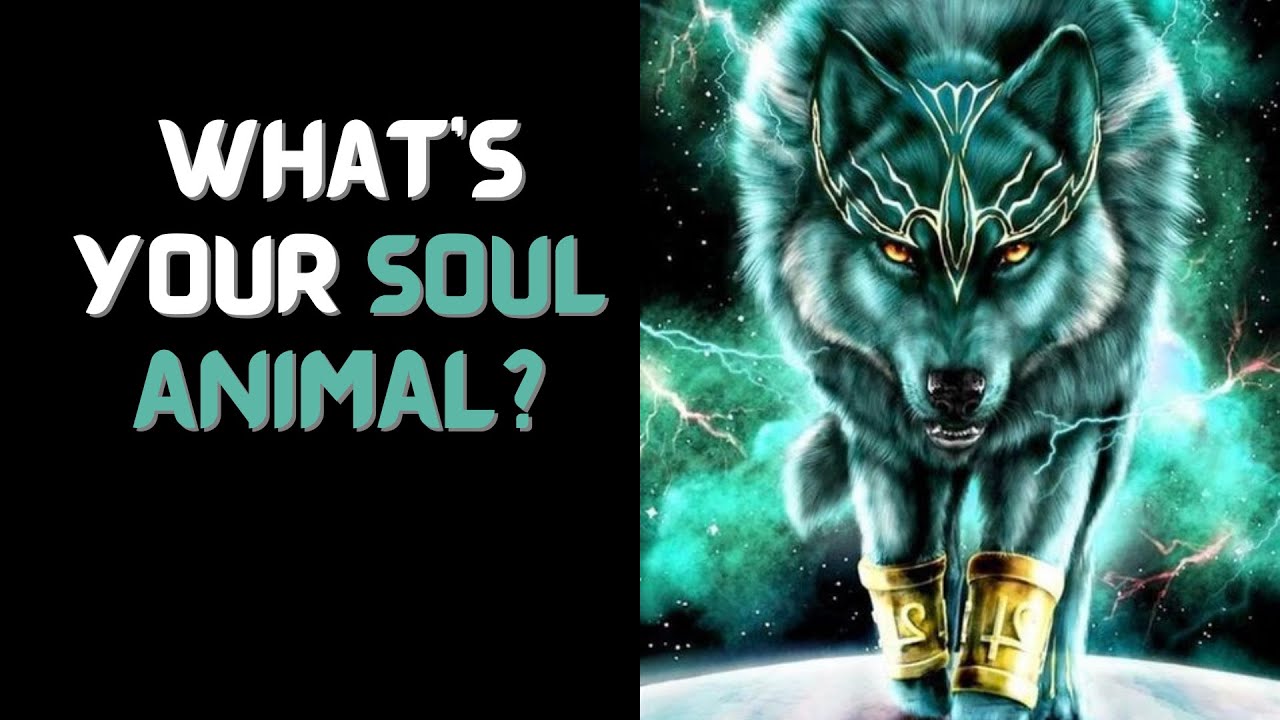 WHAT'S YOUR SOUL ANIMAL? (Personality Test) - YouTube