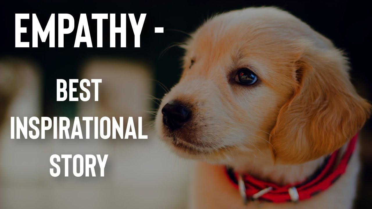 Empathy - Best Inspirational Story - YouTube