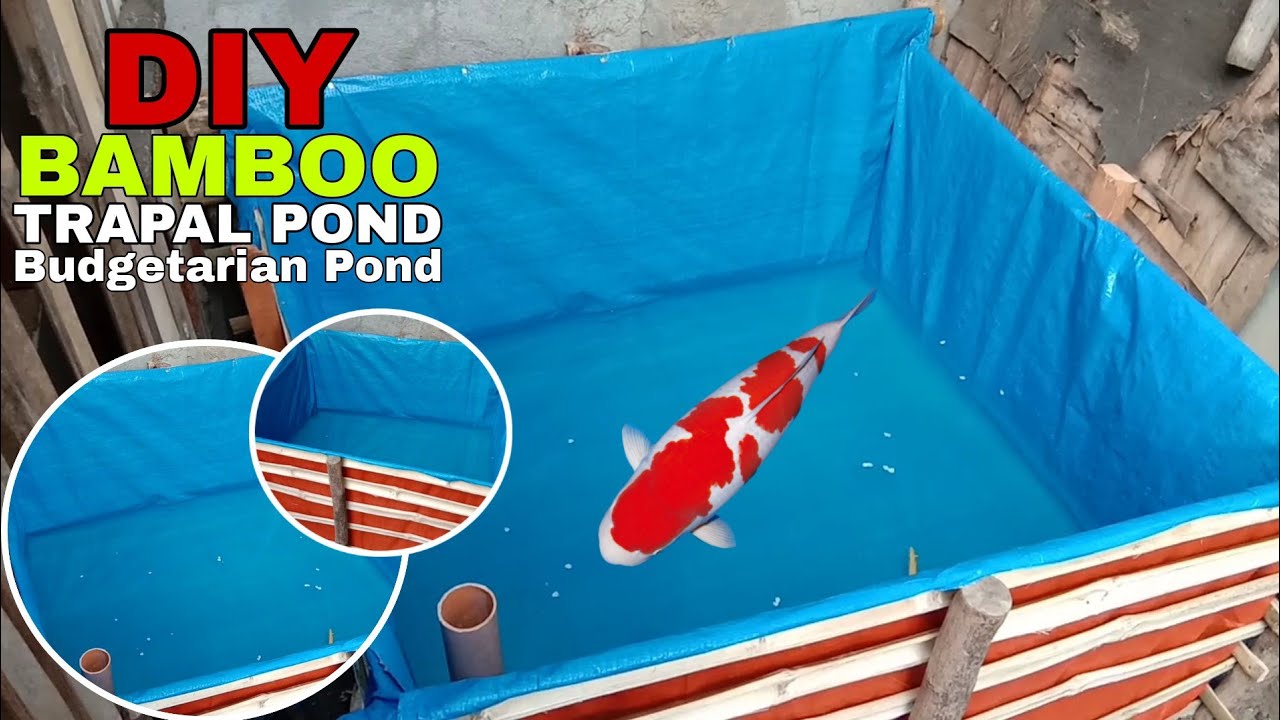 DIY BAMBOO TRAPAL POND with DRAINAGE SYSTEM | Budgetarian Pond Idea ...