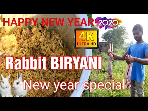 RABBIT BIRYANI Prepared by our Village boys / Village food Hunter - YouTube