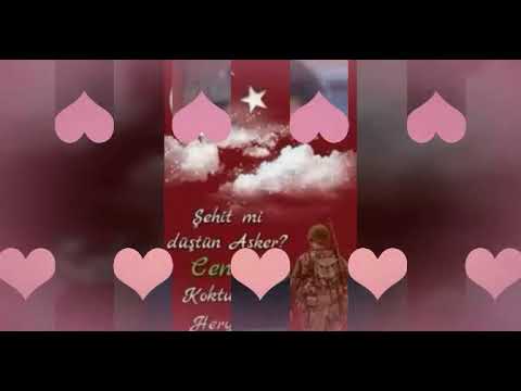 Afrin Şehitleri