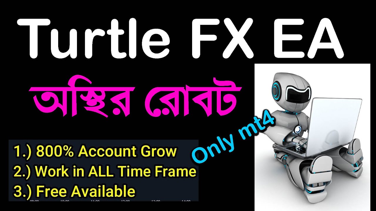 100% win Turtle FX EA । Best Forex Robot Trading bangla । Forex Robot ...
