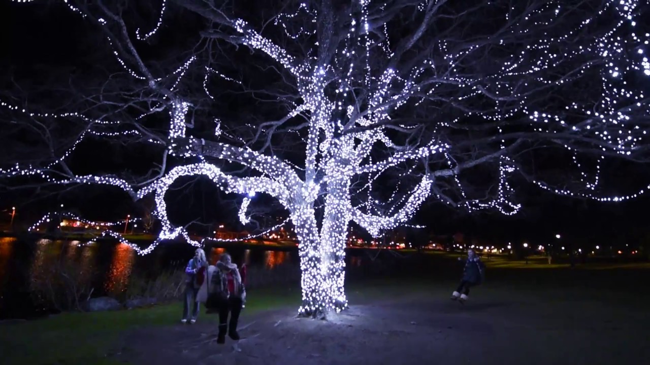 Holiday Lights at UConn | UConn - YouTube