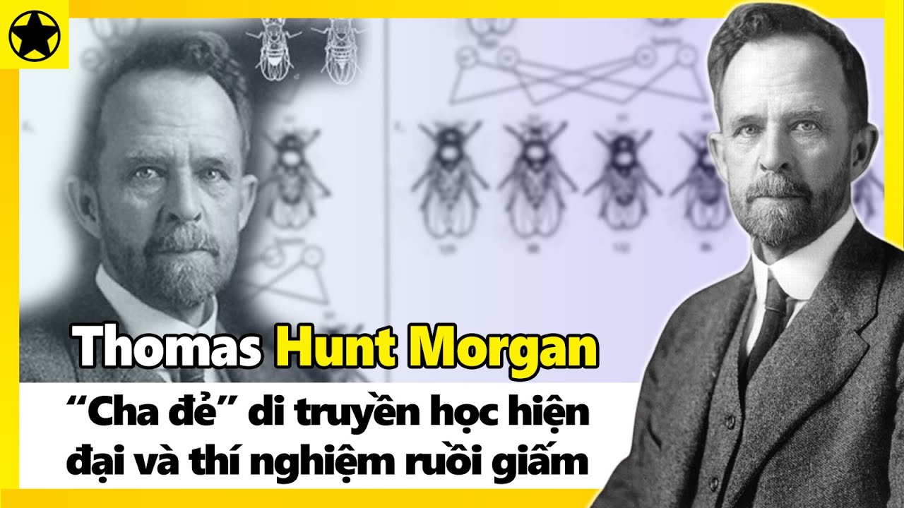 Thomas Hunt Morgan - “Cha Đẻ” Di Truyền Học Hiện Đại Và Thí Nghiệm Ruồi ...