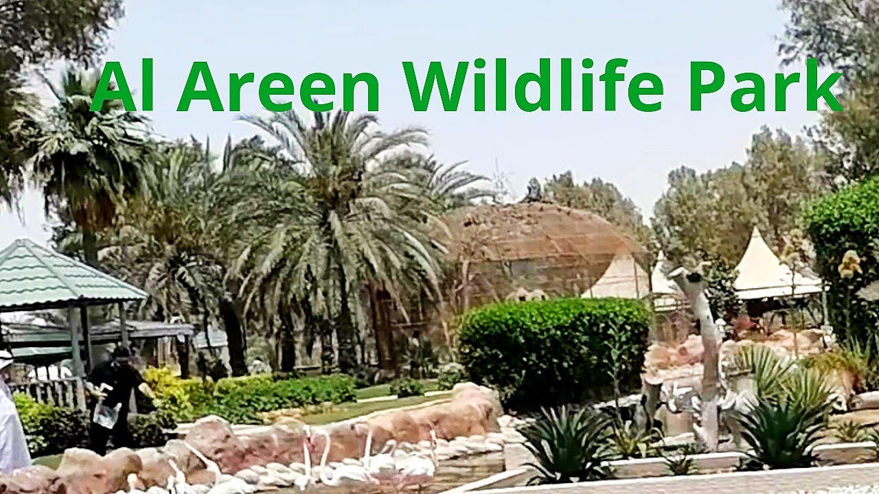 Al Areen Wildlife Park/Top place to visit in Bahrain/The Biggest Zoo ...