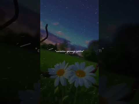 @manolya..3774 kabul et N'OLUR ey SULTANIM:))..#papatya #zeytinGözlü #sultanım #AbisininPapatyası:)