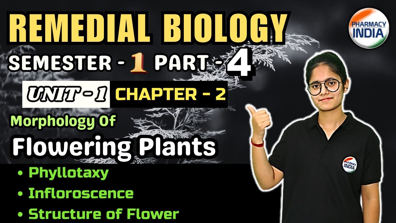 Phyllotaxy | Infloroscence | Structure of Flower | UNIT-1 | CH-2 | P-4 ...