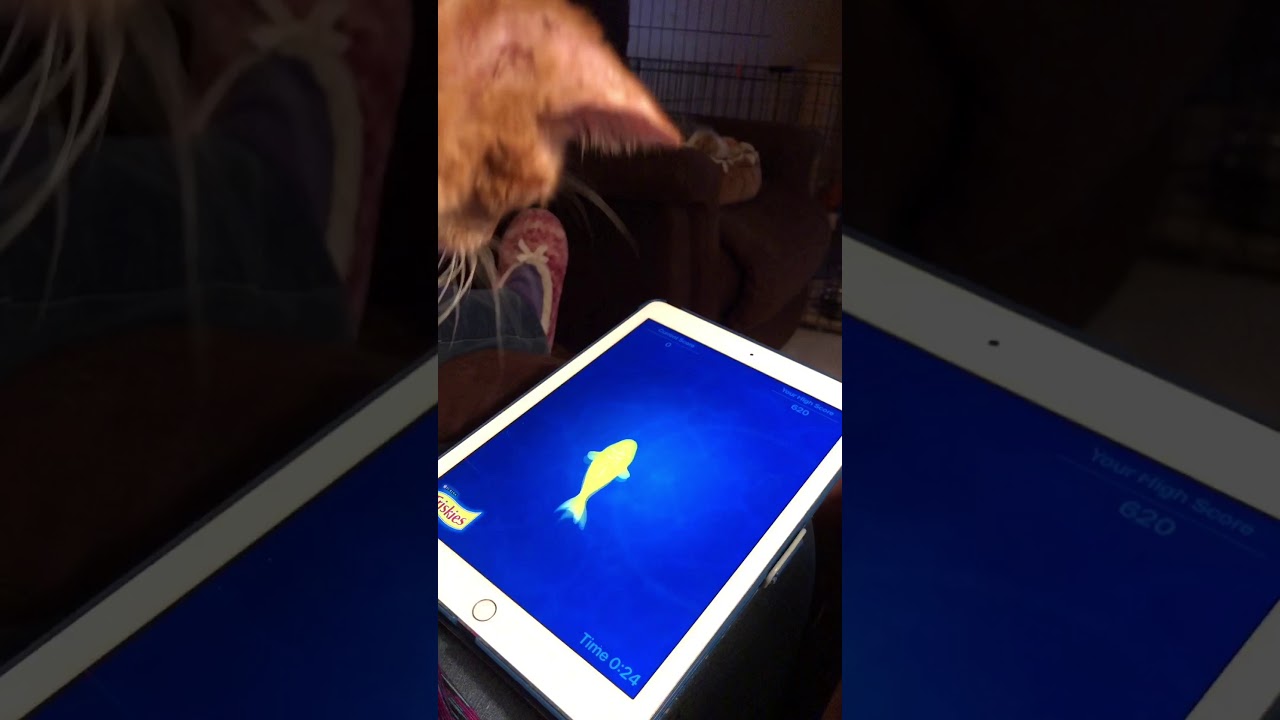 Alien Baby goes Fishing - YouTube