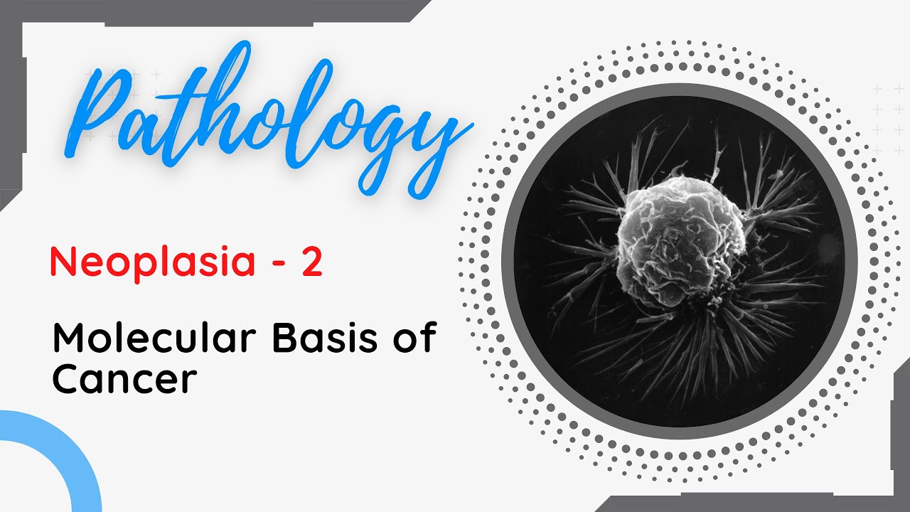 Neoplasia I Molecular Basis of Cancer - YouTube