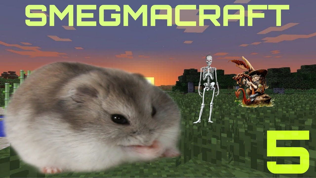 ESPLORAZIONE E EMABOBAFETT VIENE SEQUESTRATO 😕😥 - SMEGMACRAFT #5 - YouTube