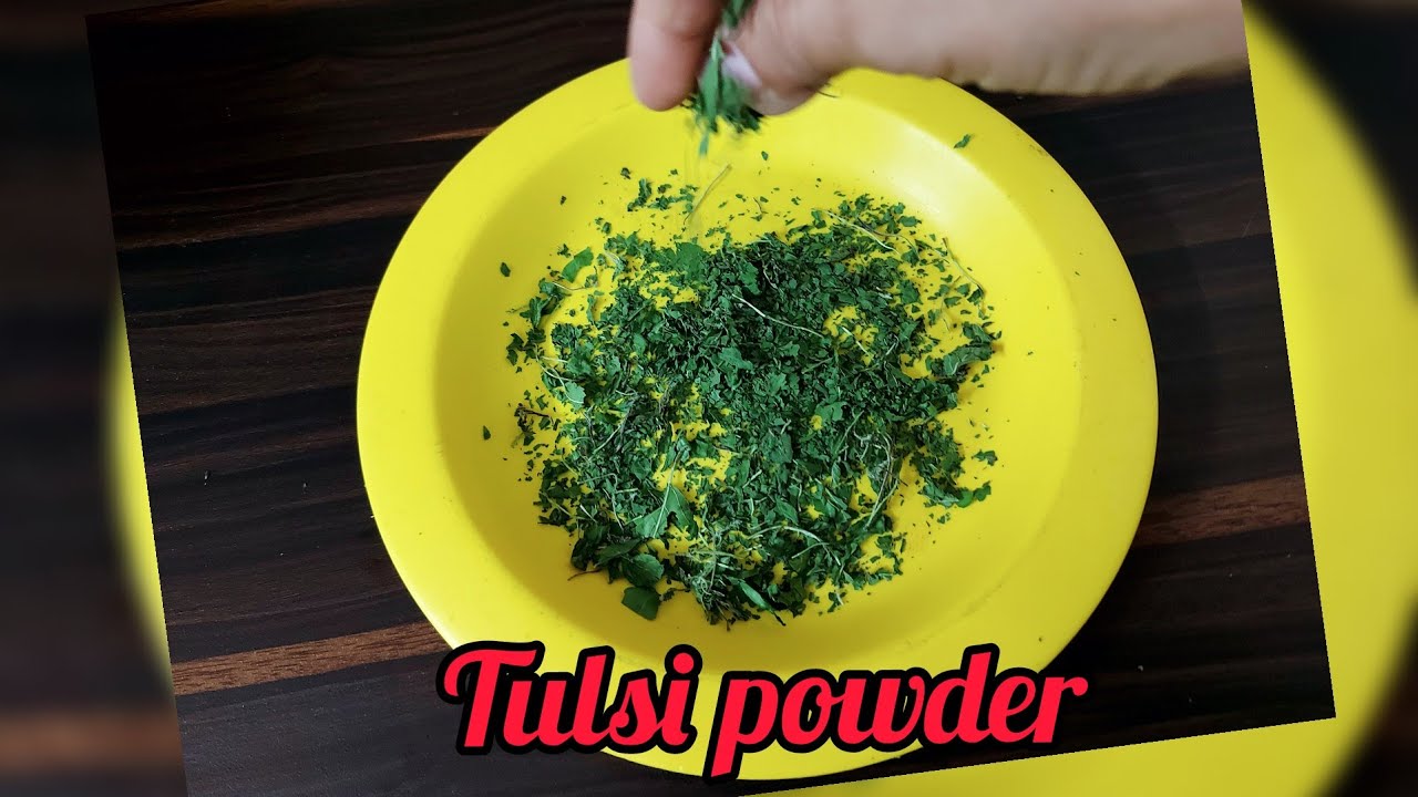 How to make Tulsi powder #tulsipowder #kitchentips #gardeningisfun # ...