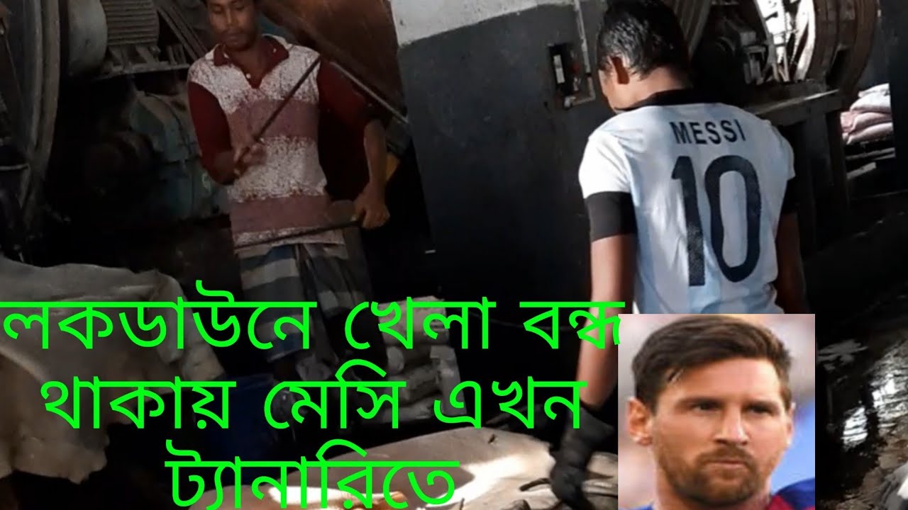 ট্যানারিতে কাঁচা চামড়া থেকে ওয়েট-ব্লু চামড়া প্রসেসিং এর নিয়ম / Raw ...