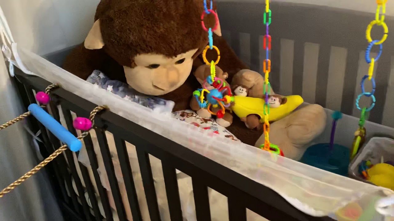 Baby monkey P'wee at play in his room - YouTube