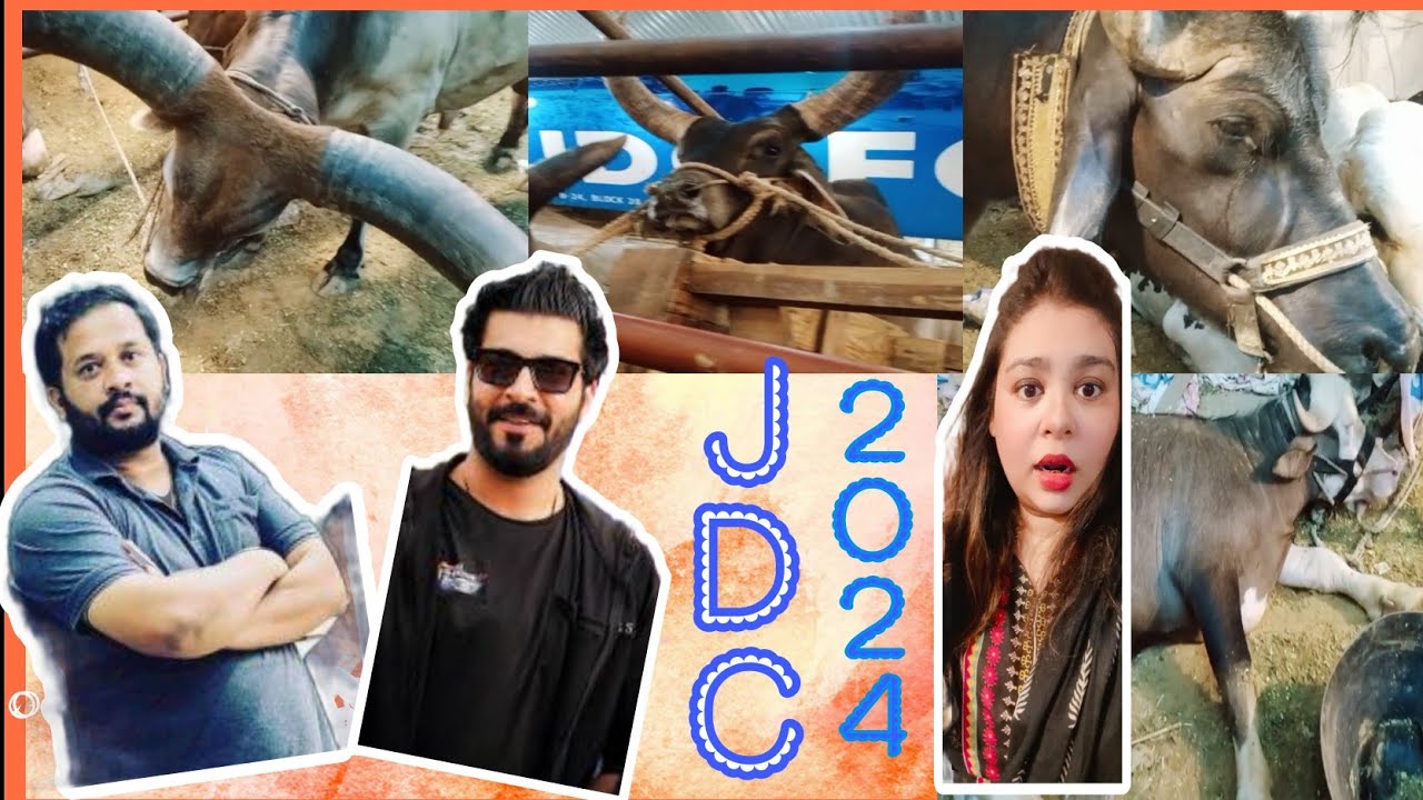 JDC Qurbani 2024 | visit to JDC house #jdc #jdcfoundationkarachi #zafarabbas #qurbani - YouTube