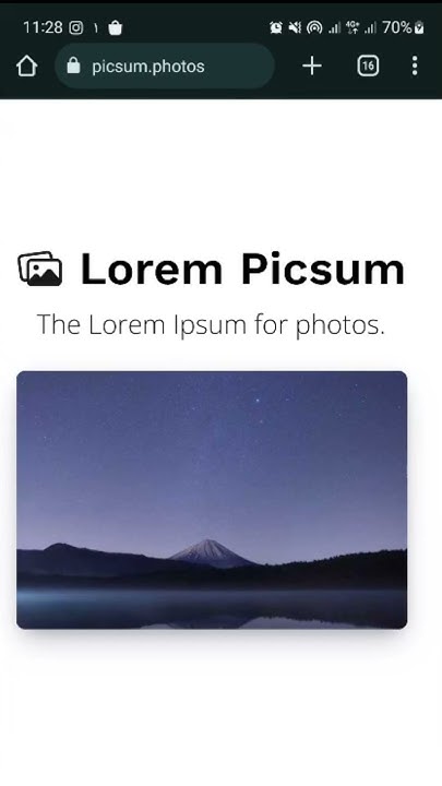 Random photo for website by lorem picsum #frontend #html #css # ...