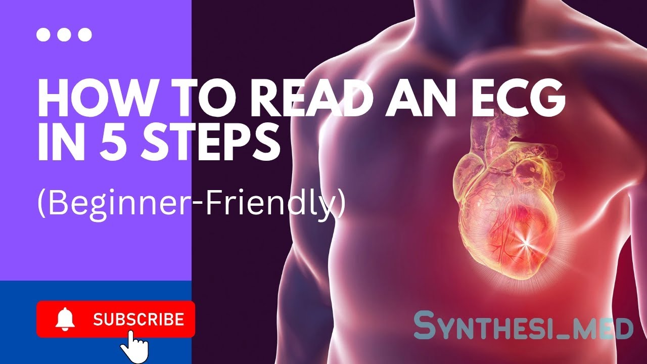 How to Read an ECG in 5 Steps (Beginner-Friendly) - YouTube