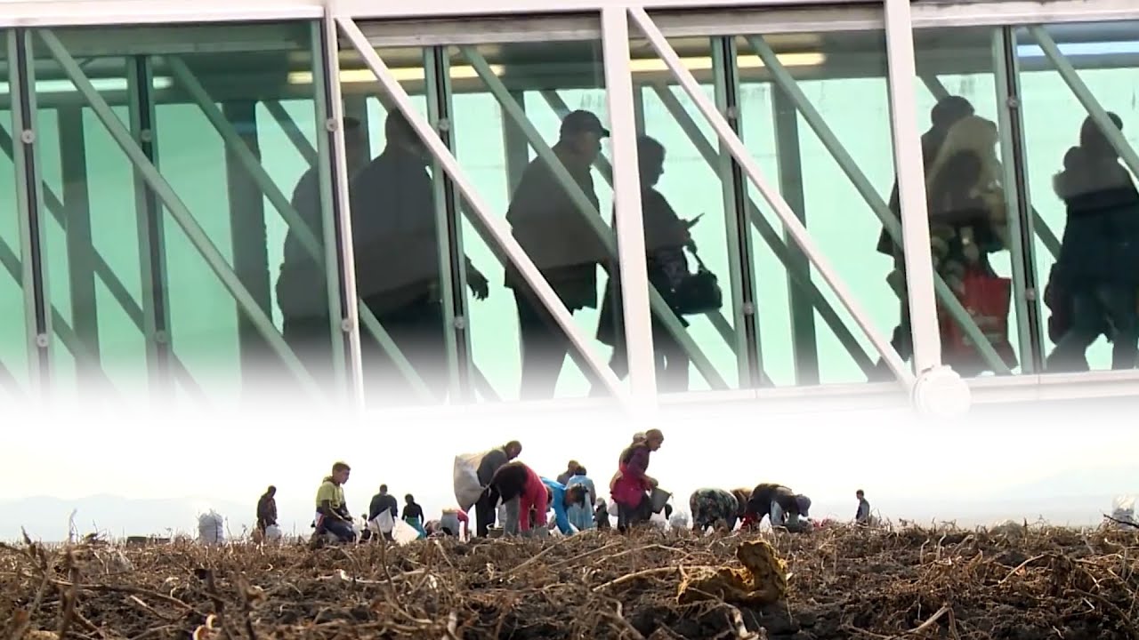 Մեկ-մեկ վատ բառեր էլ են ասում․ հնդիկները գալիս են ավելի լավ կյանքի ...