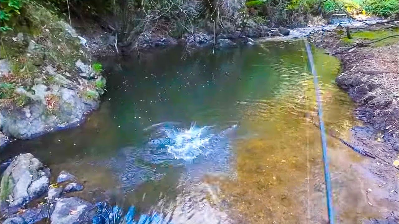 Trout fishing with Holly with some redfin by-catch - YouTube
