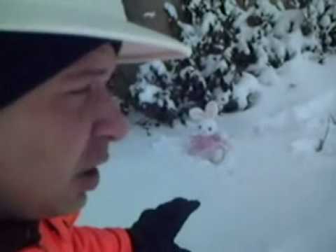 The Animal Guy Series: Episode 7 Part 1 - YouTube