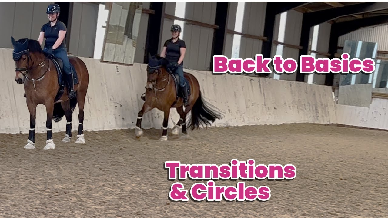 Back to Basics, Dressage Training with Hayley Watson-Greaves - YouTube