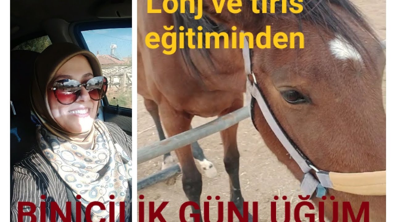 LONJ VE TIRIS İDMANLARI 🐎 (BİNİCİLİK GÜNLÜĞÜM 4.BÖLÜM) - YouTube