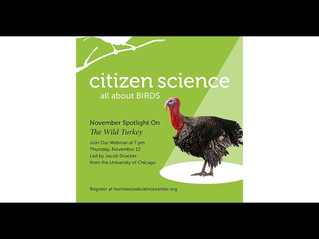 Homewood Science Center | Citizen Science