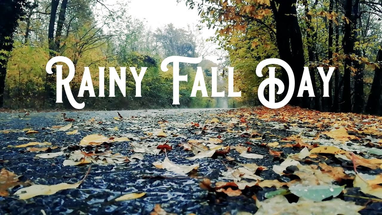 RAINY FALL DAY, AUTUMN RAIN, COZY AUTUMN RAIN - YouTube