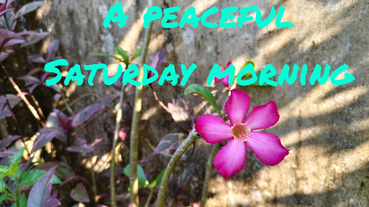 A peaceful Saturday morning/my happy place/ Recharging for the week ...