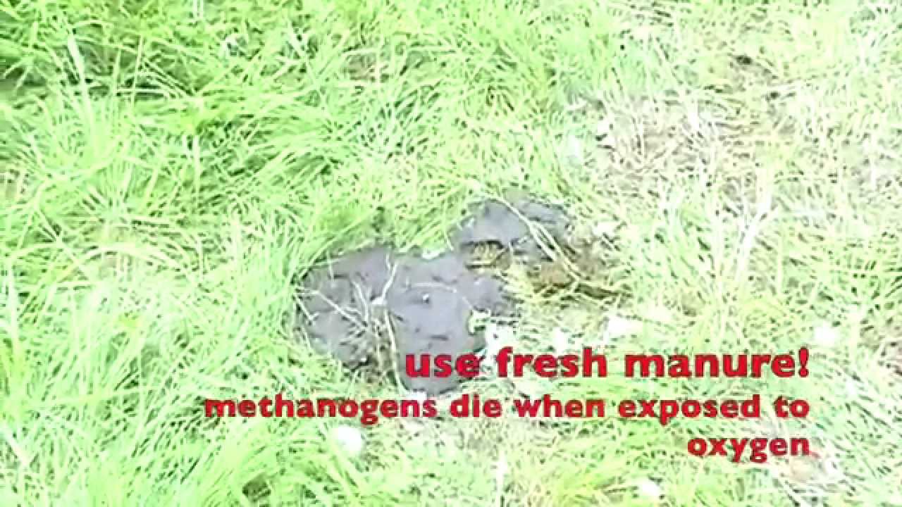 Make and use a small scale biogas digester: Part 2 - YouTube