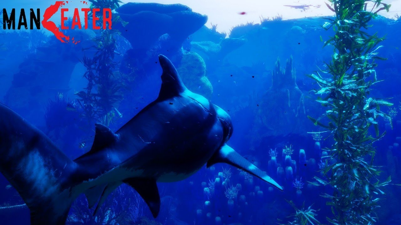Open World Shark RPG Game (Free Roam) - Maneater Gameplay - YouTube