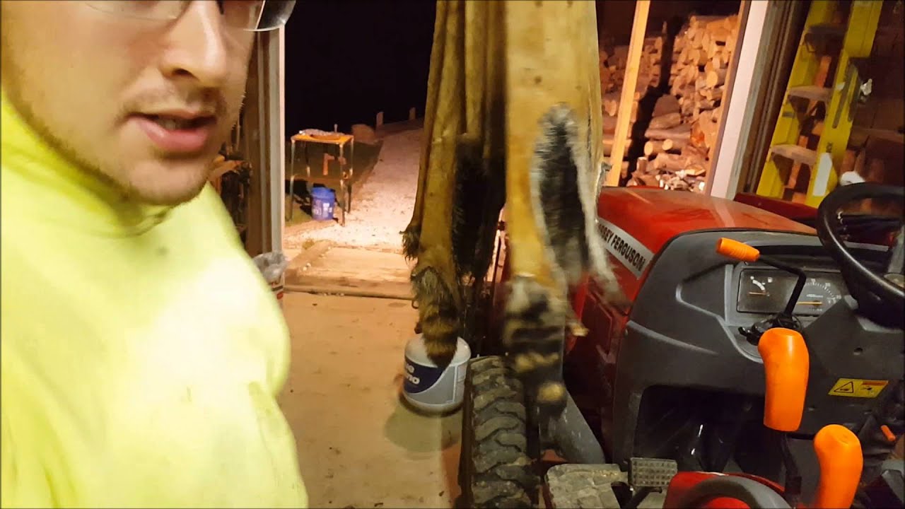 How to: Stretch a coon on wood board - YouTube