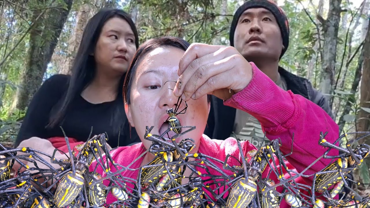 Hunting delicious spider | Nagaland forest | cook with bamboo shoot ...