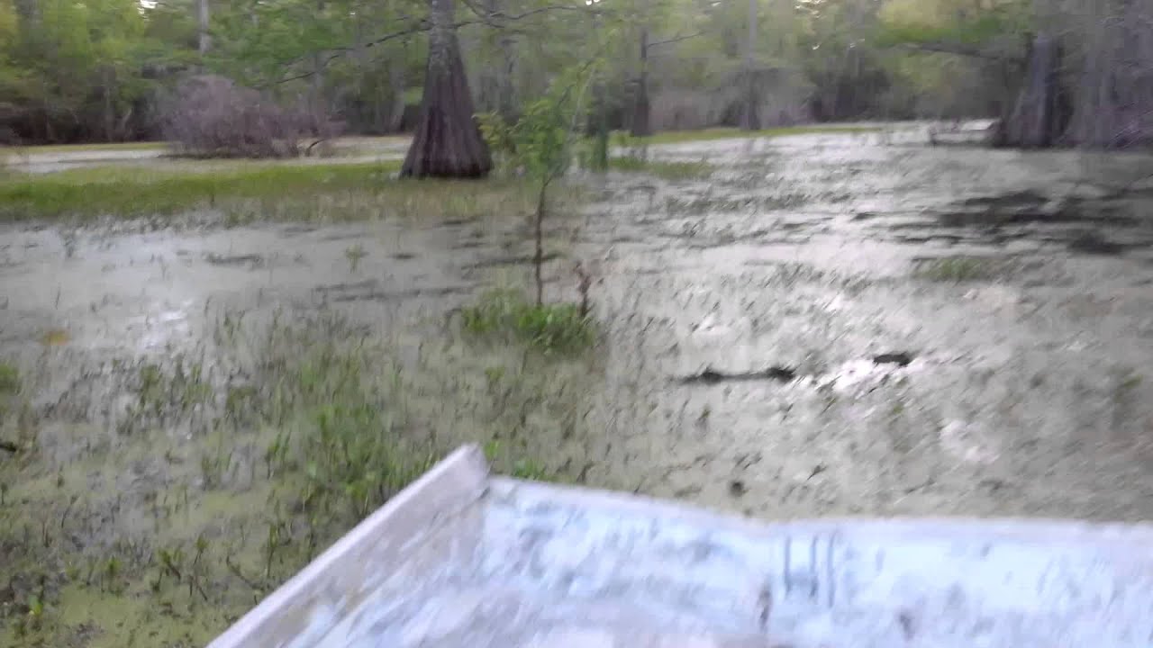 Go Devil @ Mercer Bayou - YouTube