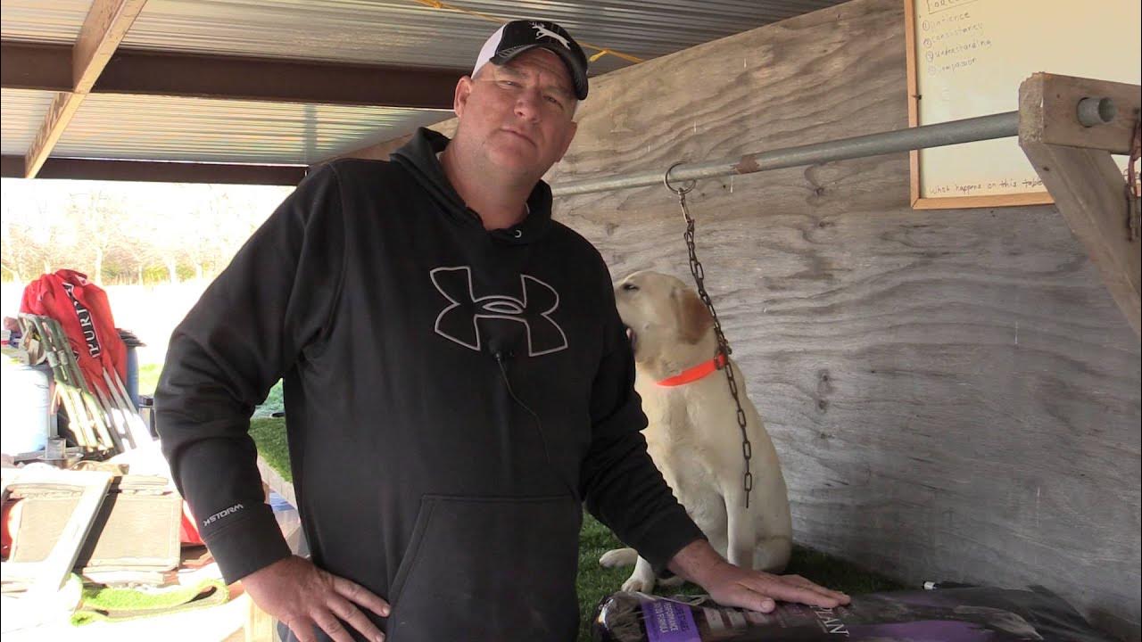 Intro to force fetch table - YouTube