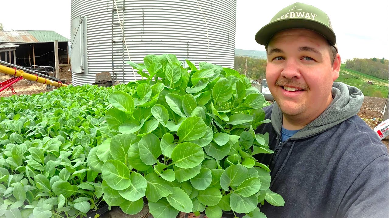 A BETTER HARVEST STARTS WITH THIS TRICK - YouTube