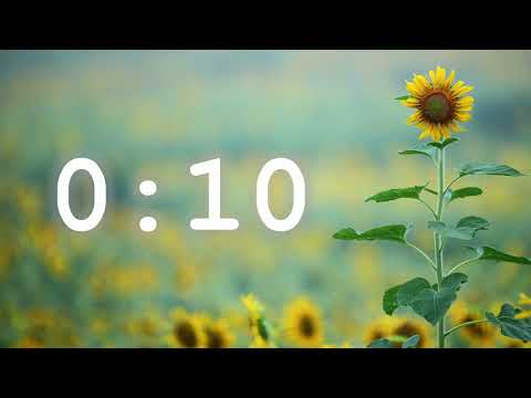 30 Second Timer (Calm Music)