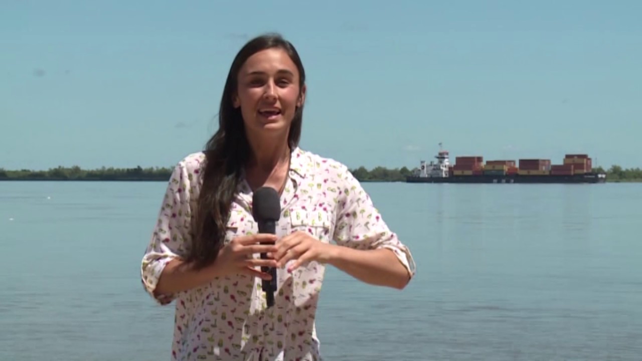 1668 04 BINGO BROWN 2017 VIVO REGALAMOS 2 BINGOS COMENTARIOS - YouTube