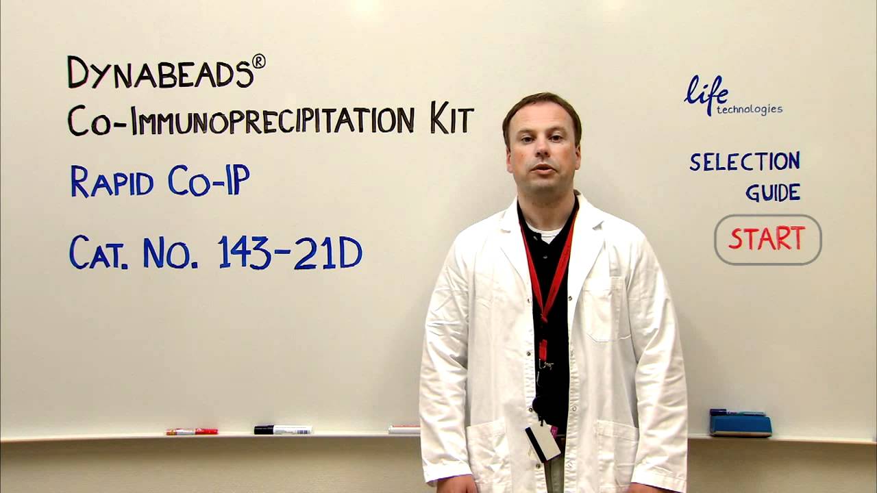 Dynabeads® Co-Immunoprecipitation Kit - Product Presentation - YouTube