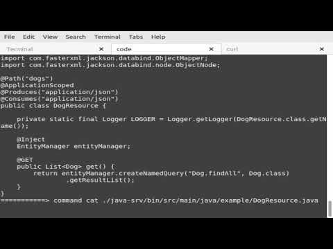 Programming {{ java maven quarkus dolt }} api - YouTube