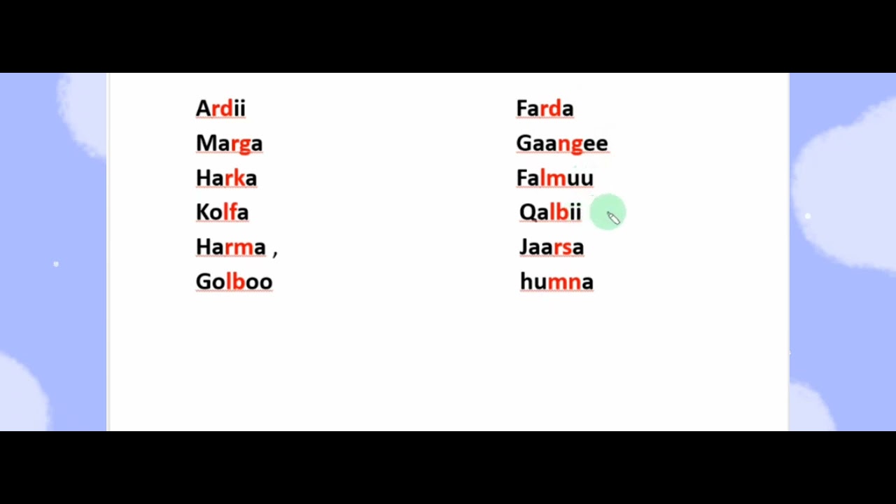 Afaan Oromoo Jechoota sagalee irra butaa Fi Hudhaa qaban - YouTube