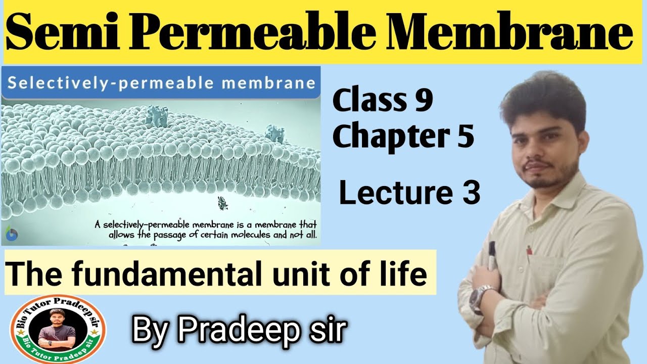 Semi Permeable Membrane | Chapter 5 | The Fundamental Unit Of Life ...