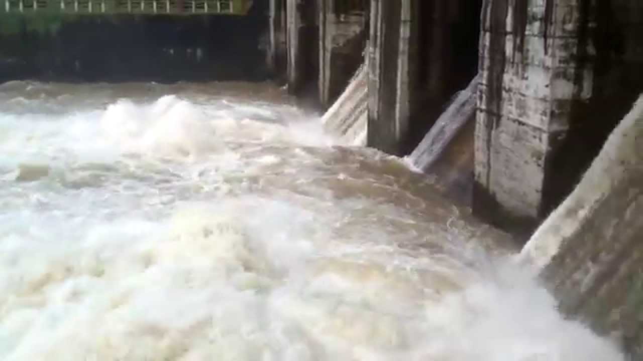 Malankara Dam shutter opening after heavy rain - YouTube