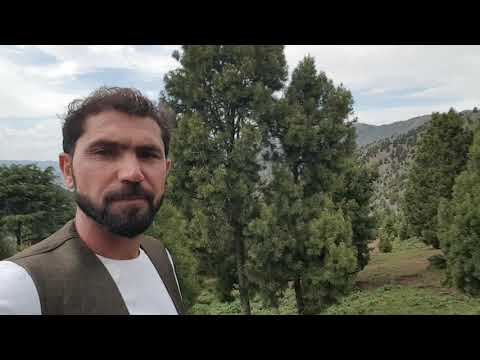 khost tani(1) - YouTube