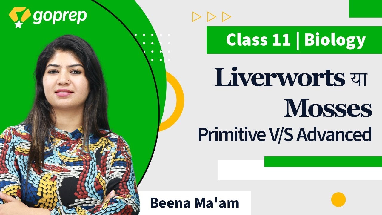 Liverworts या Mosses | Class 11 Biology | Primitive V/S Advanced | NEET ...