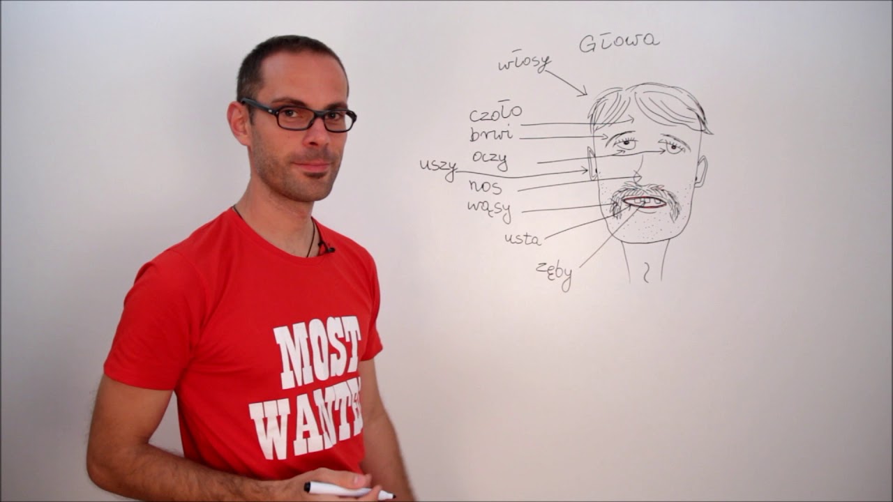 16.LEARN POLISH FAST – BODY PARTS: FACE - YouTube