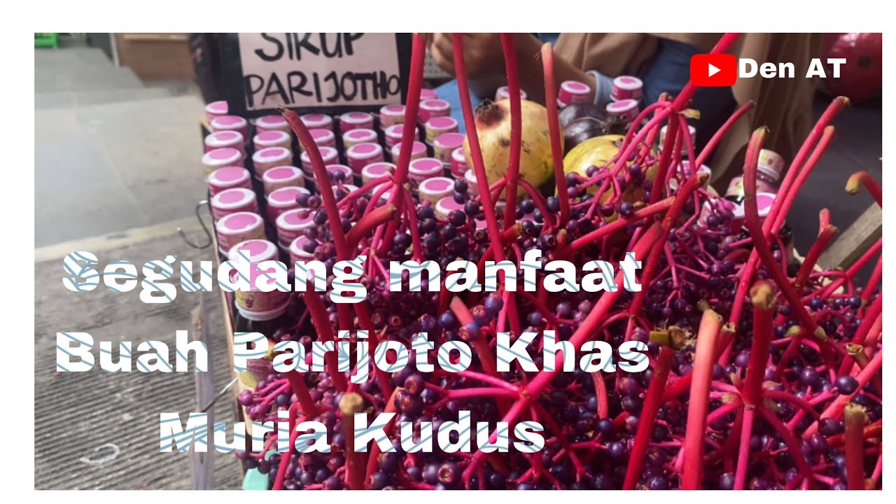 BUAH VIRALL‼️‼️ PARIJOTO MURIA KUDUS JAWA TENGAH - YouTube