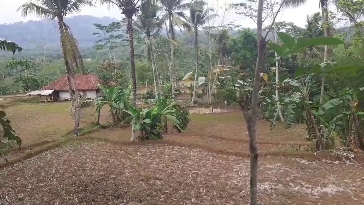 Kampung kuring - YouTube